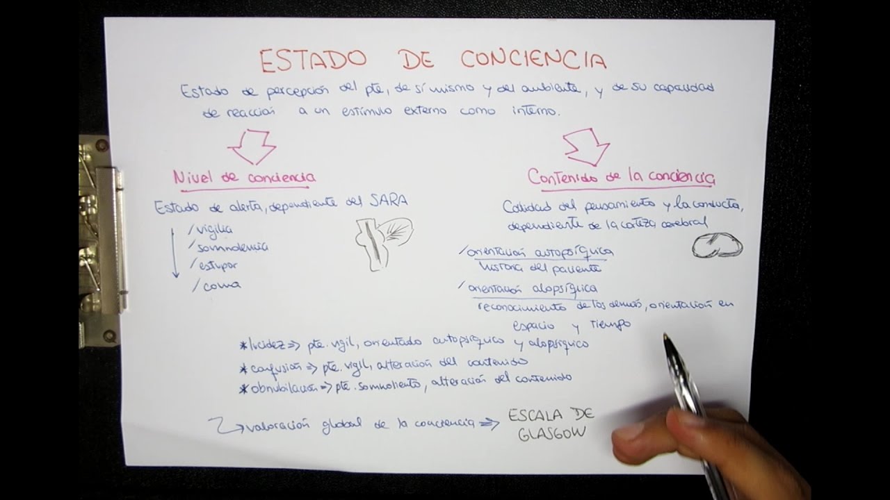 ESTADO DE CONCIENCIA: Nivel y Contenido de la conciencia