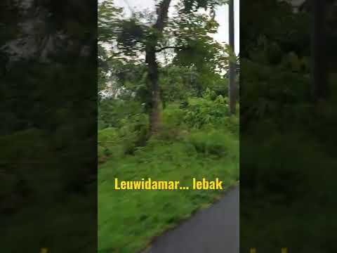 Leuwidamar.. Lebak-Banten