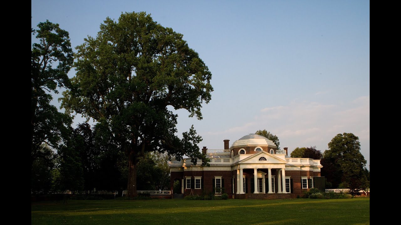 Monticello's Tulip Poplars