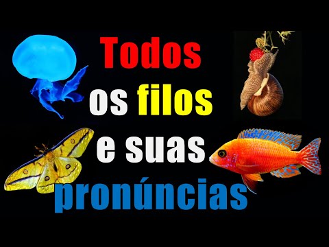 Como pronunciar os filos de animais? | Natureza Terráquea