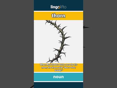 🇬🇧 Thorn Meaning : Flash Card : Learn English Vocabulary