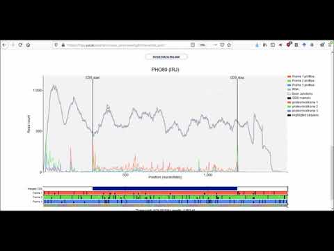 RiboSeq.Org - Tutorials