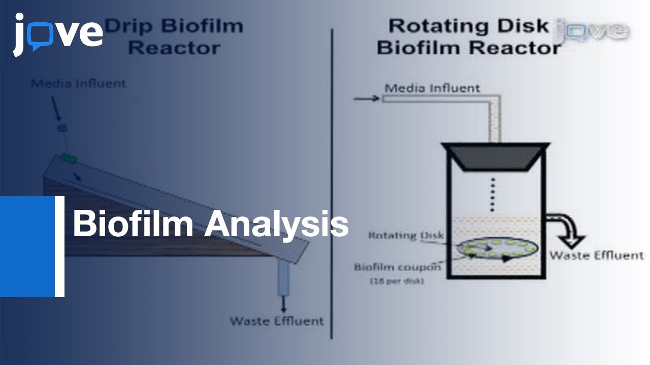 Use: Drip Flow & Rotating Disk Reactors-Staphylococcus aureus Biofilm Analysis