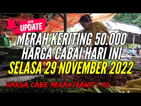 🔴 UPDATE: Harga Cabe/Cabai Rawit/Merah 1 KG Hari Ini, Selasa 29 November 2022