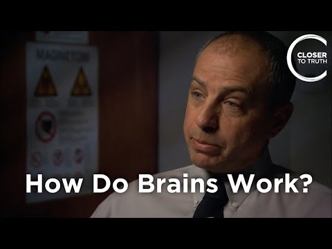 John Mazziotta - How Do Human Brains Work?
