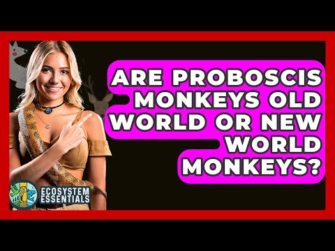 Are Proboscis Monkeys Old World Or New World Monkeys? - Ecosystem Essentials
