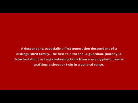 what is the meaning of scion