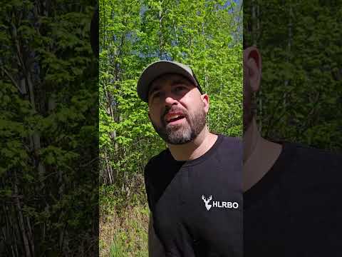 Wisconsin hunting lease now available on HLRBO!