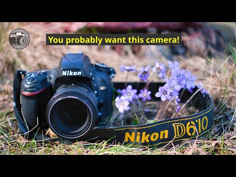 Nikon D610: Amazing full-frame camera (1540)