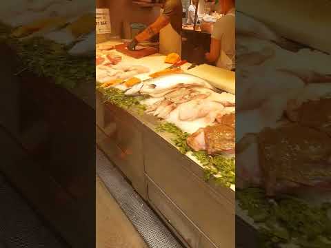 Fish Market Insane Spai Malaga Fresh Just from Sea Enjoy