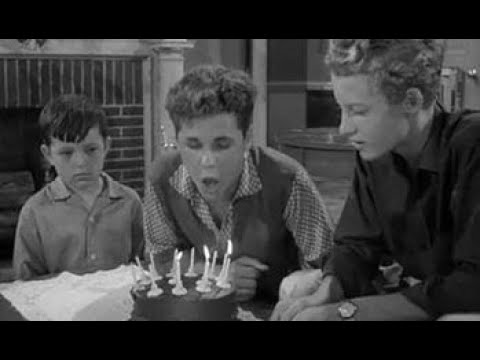 LEAVE IT TO BEAVER Season 2 (Part 2) Review (1958-1959) Schlockmeisters TV #17