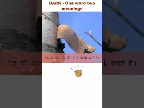 Bark- one word, two different meanings