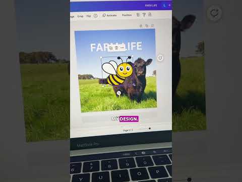 Canva tutorial - how to animate your images