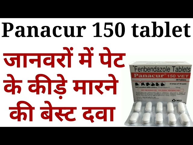 Pharmaceutical Capsules - Panacur 150 Vet Fenbendezole Tablets Trader ...