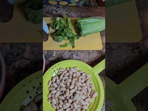 Salade de thon du 3e livre de Josée di Stasio