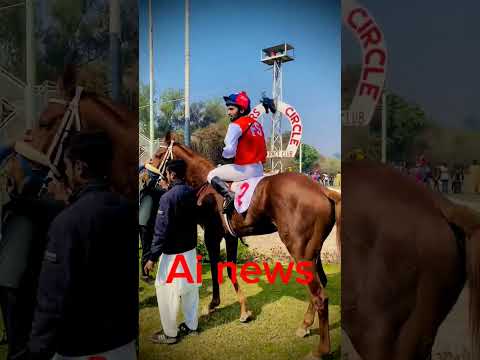 Tahir Abbas Win by Fakhre sahi #punjabi #ainews #tahir #horse #horselover #horseriding