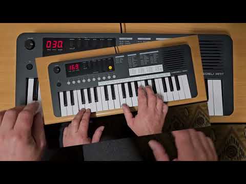Medeli MK-37. Mini-Keyboard mit Begleitautomatik