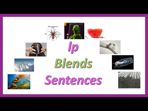 Phonics Blends: "lp" Family Words English Sentences
