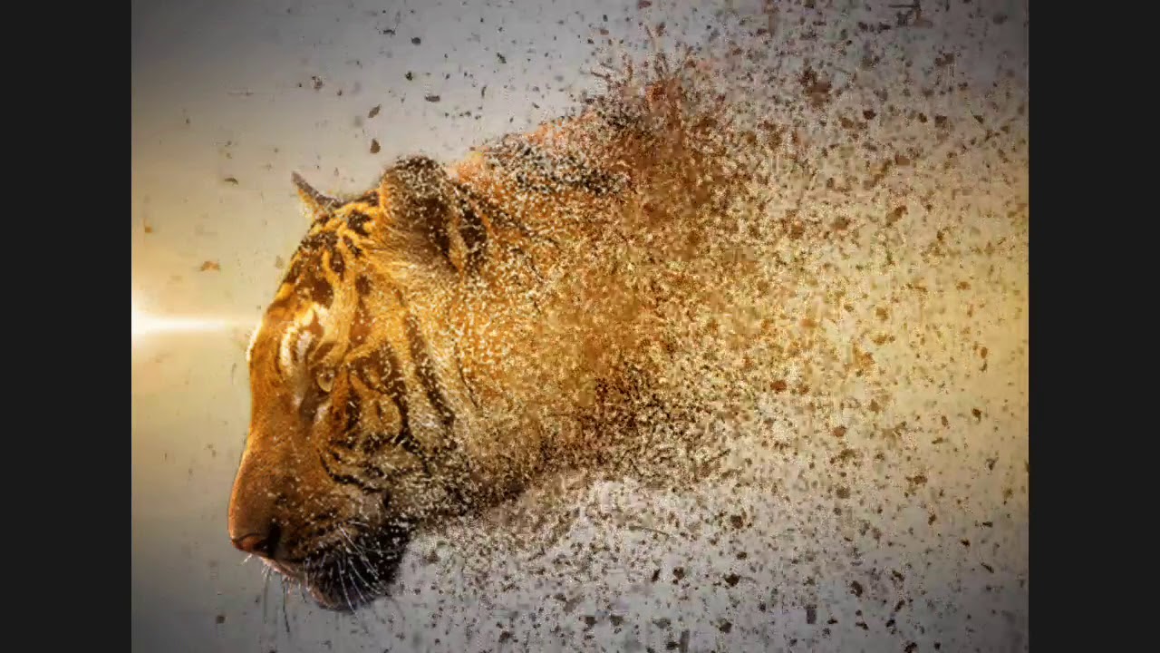Tiger Gif Animated | Creat For U