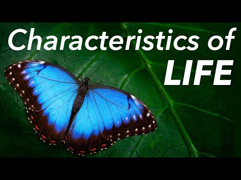 1. Characteristics of Life