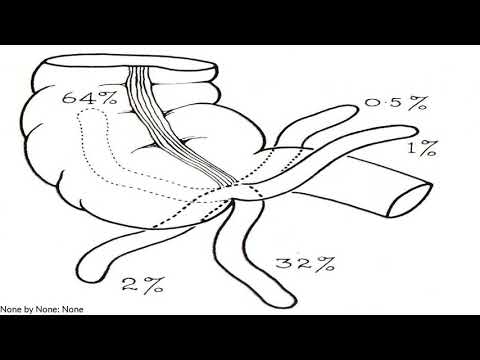 All The Information About Appendix (anatomy)