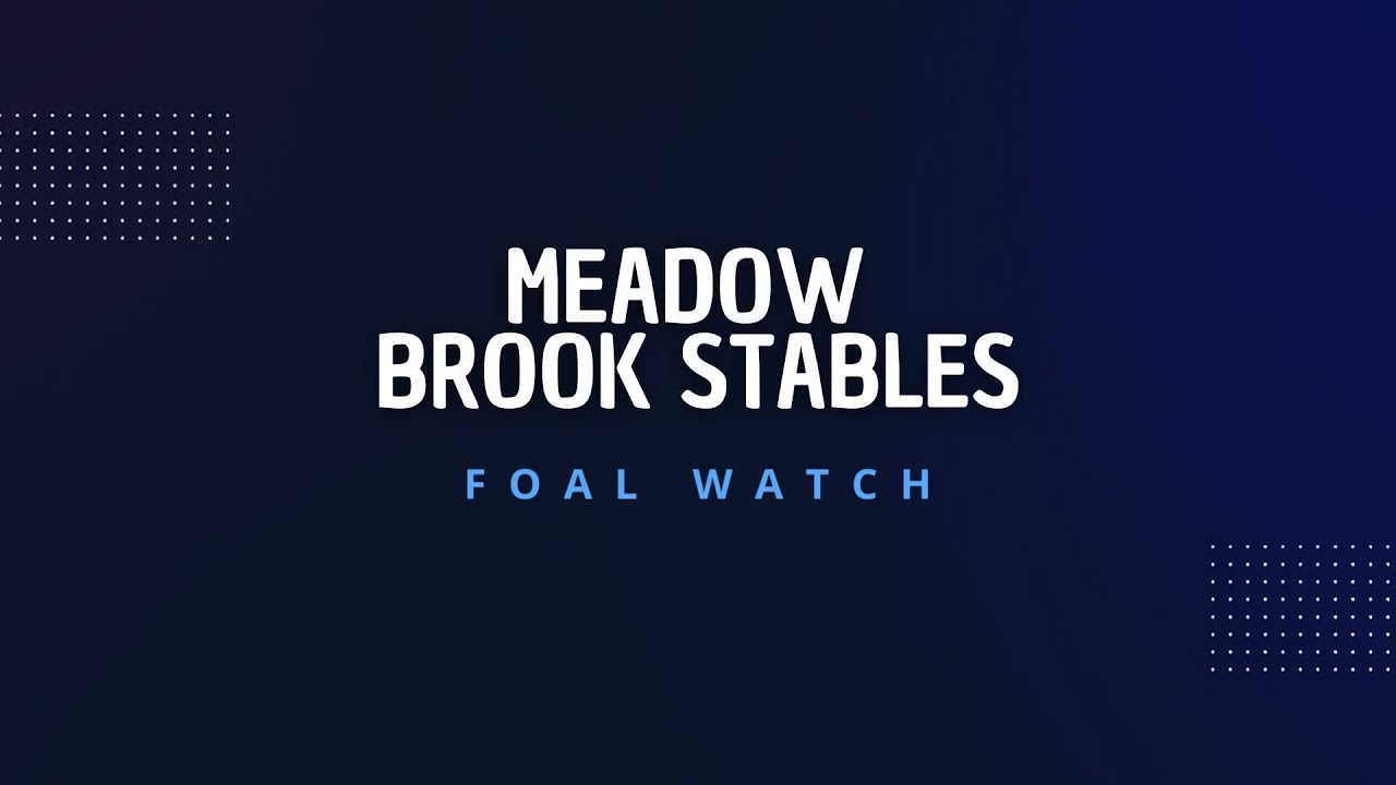 Subscribe For Foal Cams