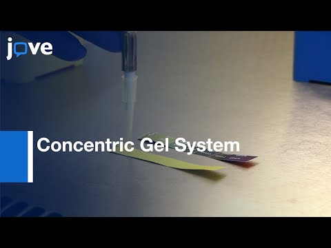 Concentric Gel System:Biophysical Role: Matrix Microenvironment-3D Cell Migration l Protocol Preview