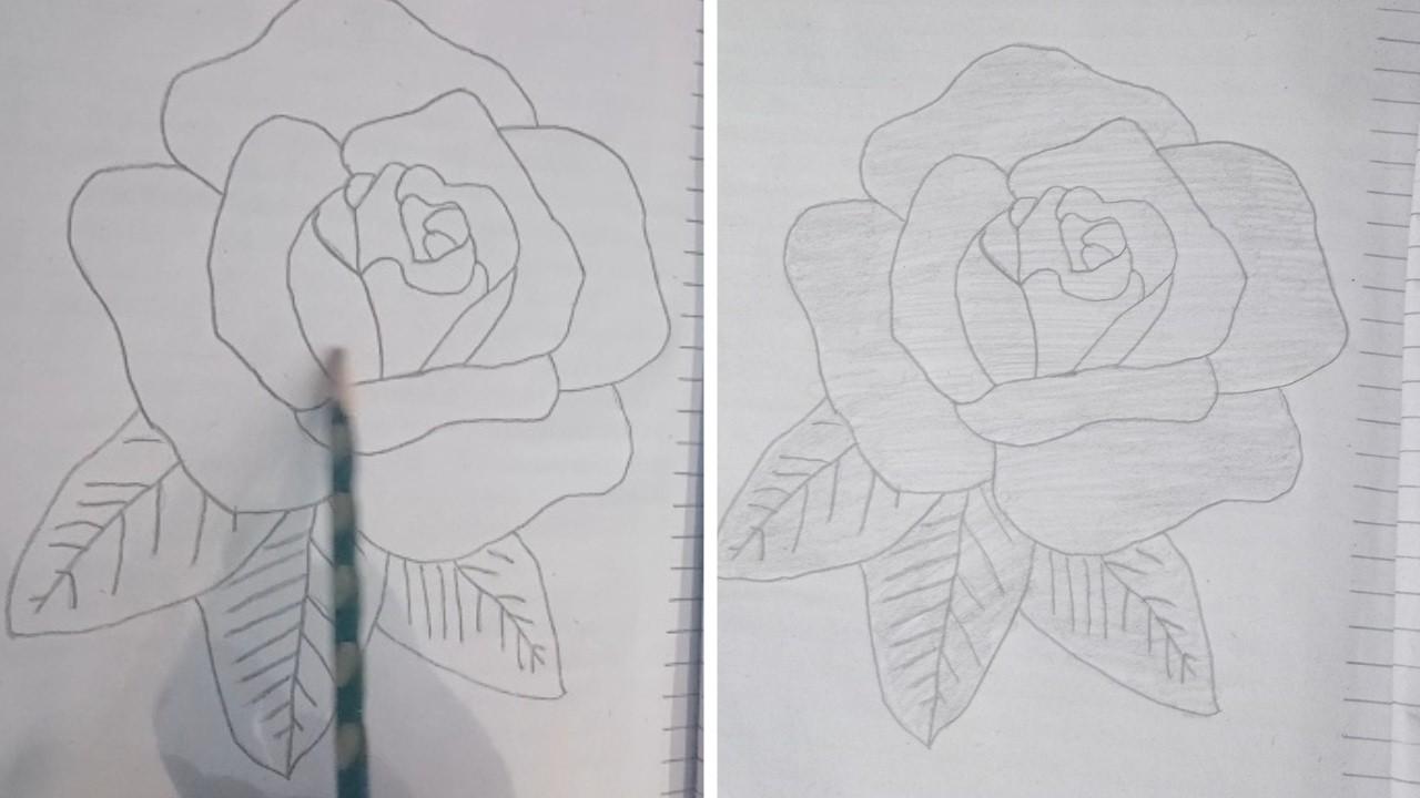 How to Draw a Rose Step by Step | Easy Rose Pencil Sketch for Beginners