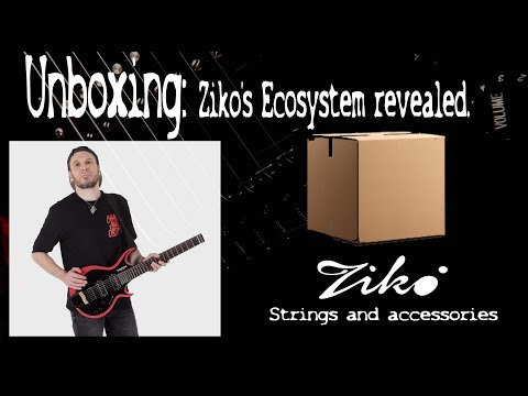 ZIKO Guitar Strings & Accessories UNBOXING - This Package Blew My Mind!