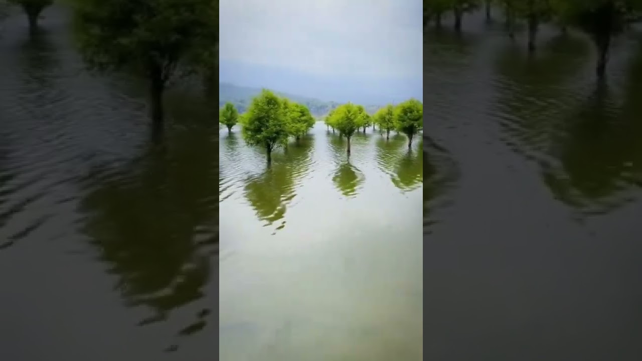 دوستان دکمه مشترک شدن رو بزنید😍