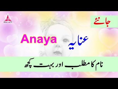 Anaya Name Meaning In Urdu
