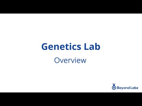 Genetics Lab Overview