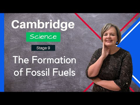 Stage 9 Science | The Fascinating Formation of Fossil Fuels