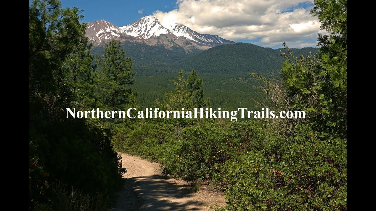 Spring Hill Trail in Mount Shasta: Great Hike on the Edge of Town!