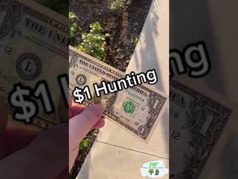 $1 Hunting: Five Below