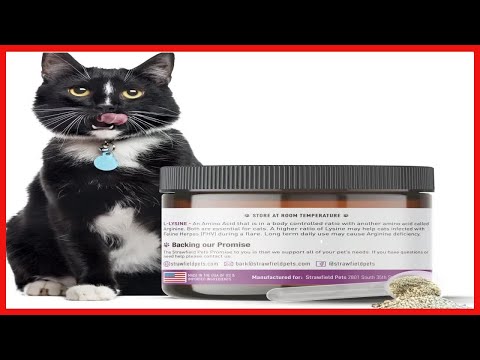 Lysine for Cats - L Lysine Powder Cat Supplements - 900mg, 200 Scoops