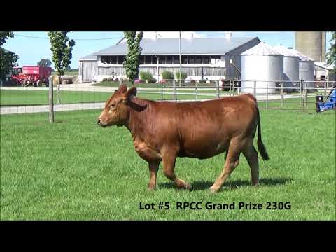 Lot 5 RPCC Red Grand Prize 230G