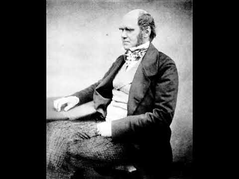Natural selection | Wikipedia audio article