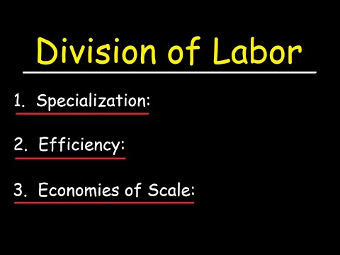 Division of Labor, Specialization, and Economies of Scale