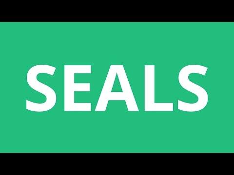 How To Pronounce Seals - Pronunciation Academy