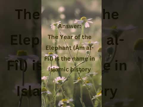 What is the Name Of Year || In Arabic History 💖 #guidanceofislam #vilogger #vilog #status #shorts
