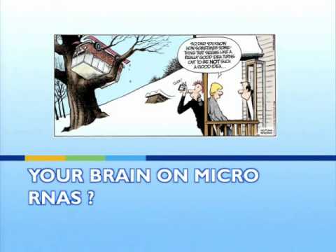 Micro RNAs in Mental Illness