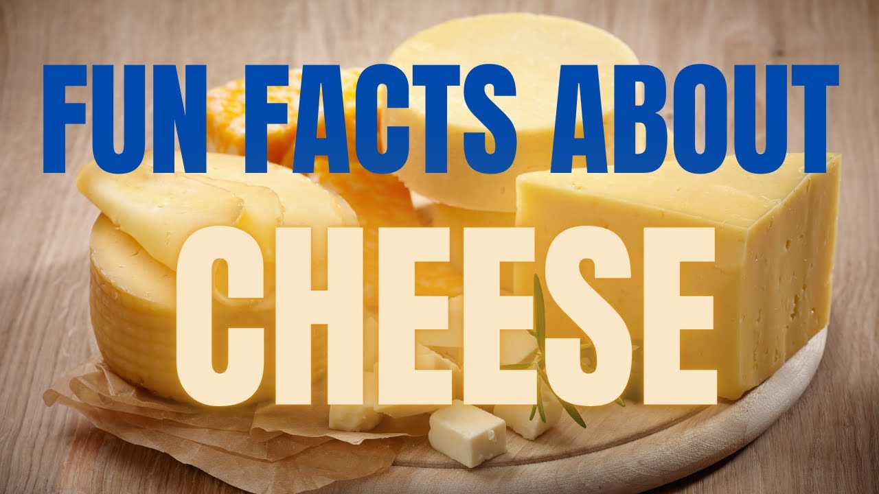 50 Weird Facts About Cheese #trivia #cheese #facts
