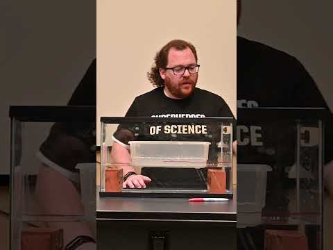 How Much Water Does a Brick Really Displace? #physics #science