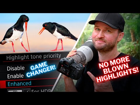 NO More BLOWN HIGHLIGHTS! Life-Changing Exposure Setting HIDDEN In The Menu!