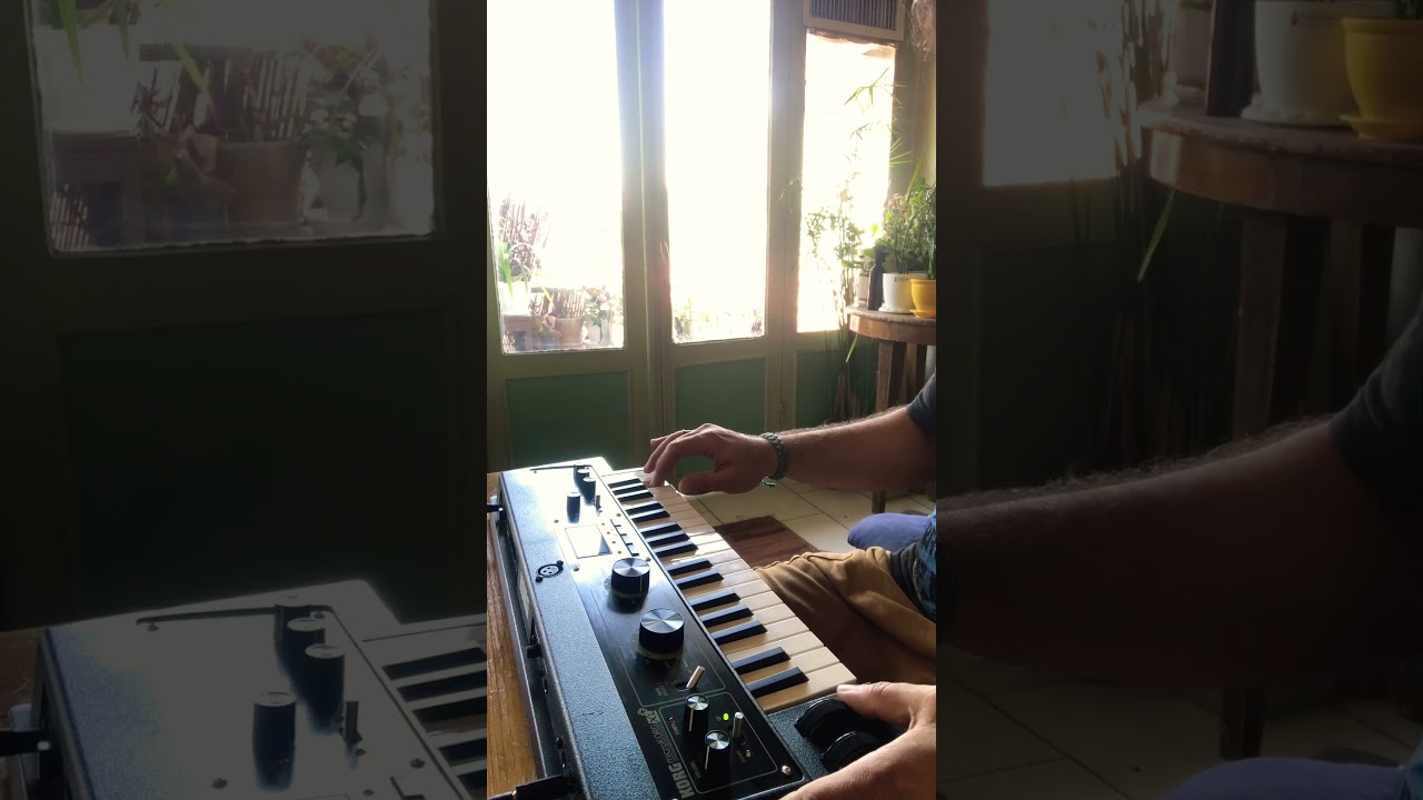 Keyboard solo 🎹.                 #livelooping #microkorg #keyboardsolo #looping #loop