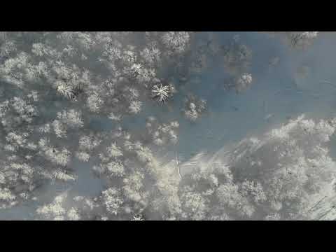 8k wallpaper for pc video 2022