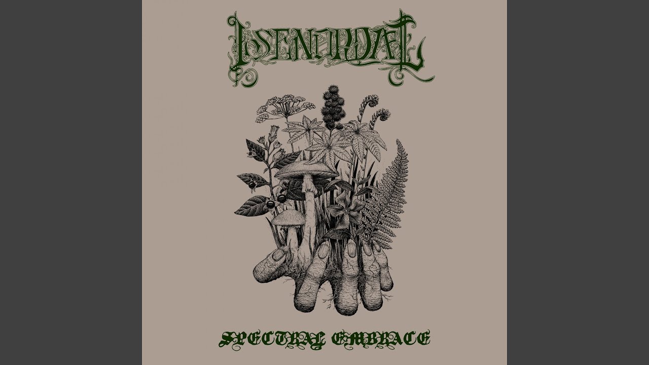 The Sorrow of a Shadowed World