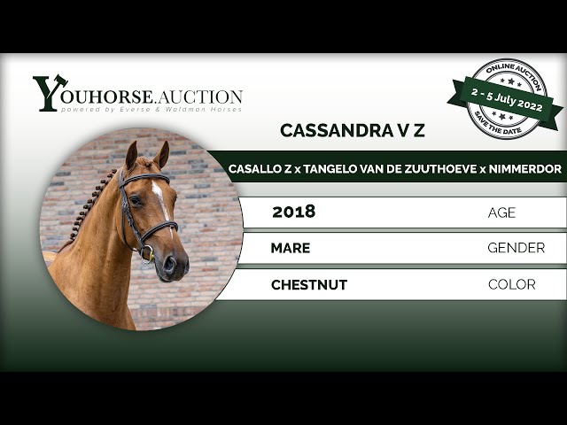 Youhorse.auction | Casandra V Z