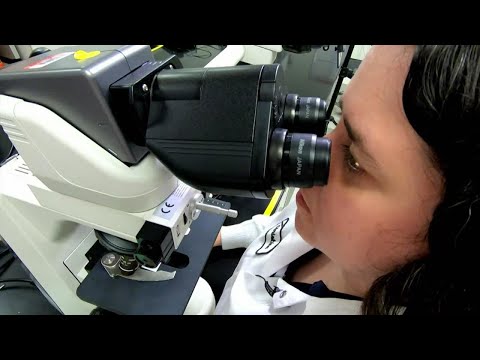 Pollen count in Houston: Meet the scientist tracking our allergy forecast